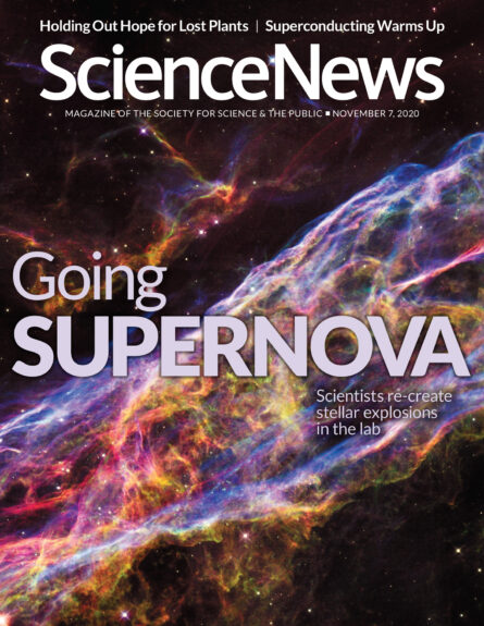 November 7 2020 Science News
