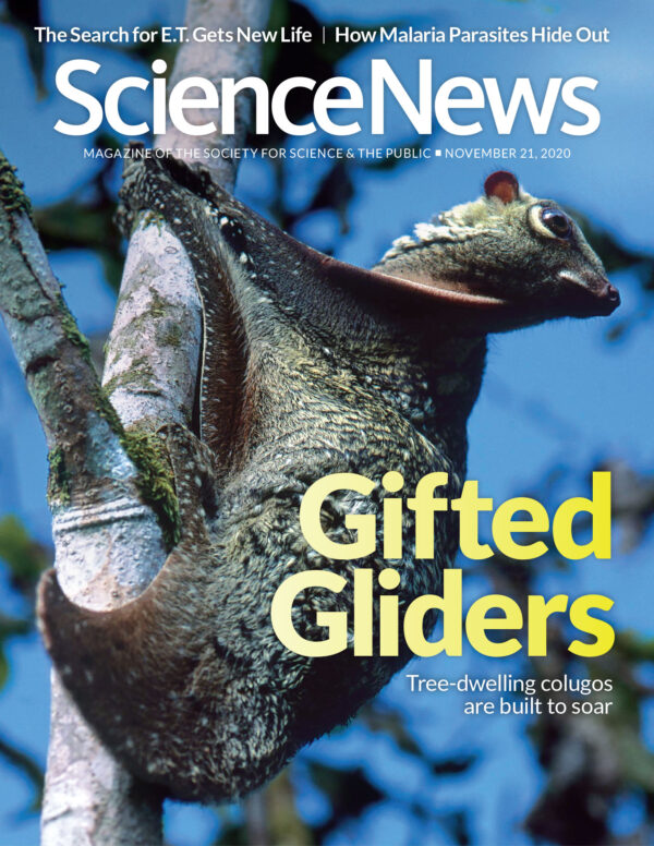 Magazine Issues Archive | Page 2 of 235 | Science News