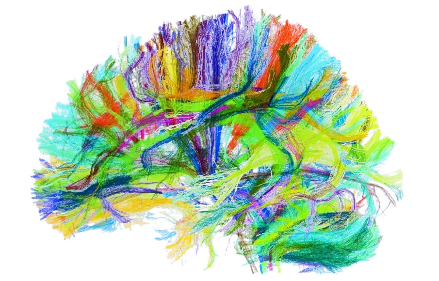 Neuroscience's roots make exciting and terrifying futures possible ...
