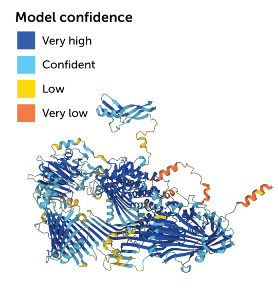 AlphaFold's AI protein-structure predictions have limits | Science News AlphaFold's AI protein-structure predictions have limits | Science News