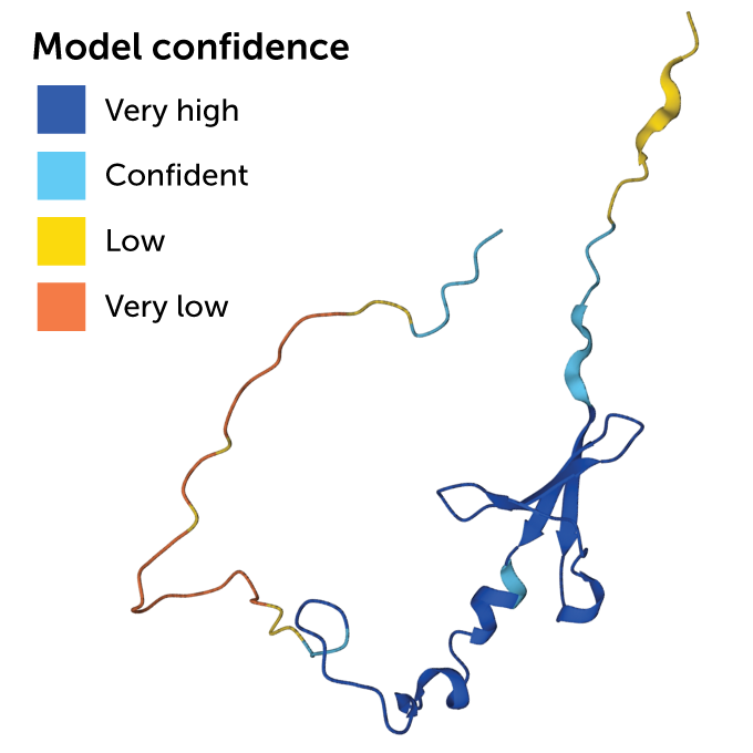 AlphaFold's AI protein-structure predictions have limits | Science News AlphaFold's AI protein-structure predictions have limits | Science News