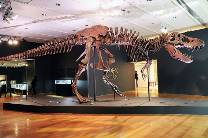 Why the sale of a T. rex fossil could be a big loss for science