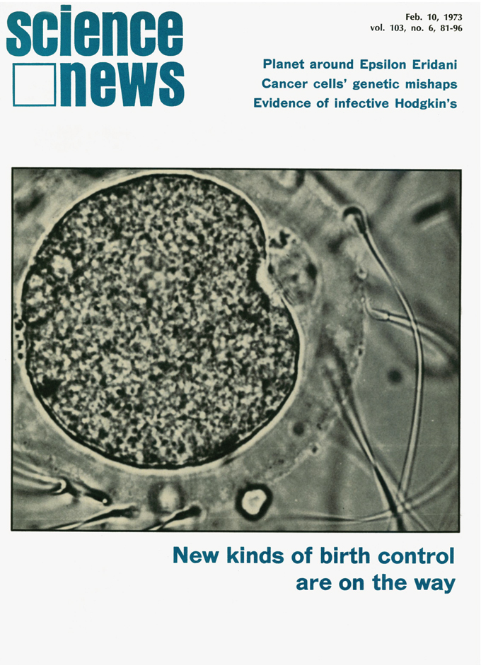 50 years ago, scientists discovered the Great Pacific Garbage Patch