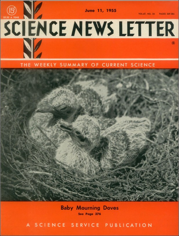 June 11, 1955 | Science News