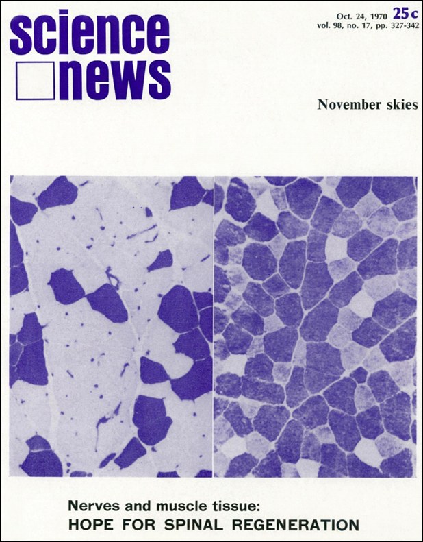 October 24, 1970 | Science News