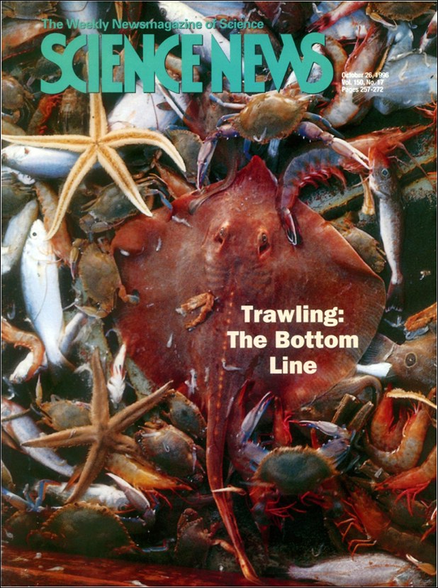 October 26, 1996 | Science News