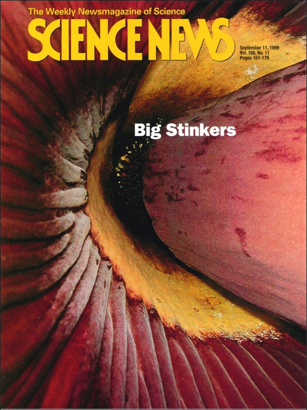 September 11, 1999 | Science News
