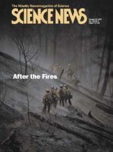 February 24, 2001 | Science News
