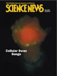 June 16, 2001 | Science News