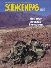 October 27, 2001 | Science News