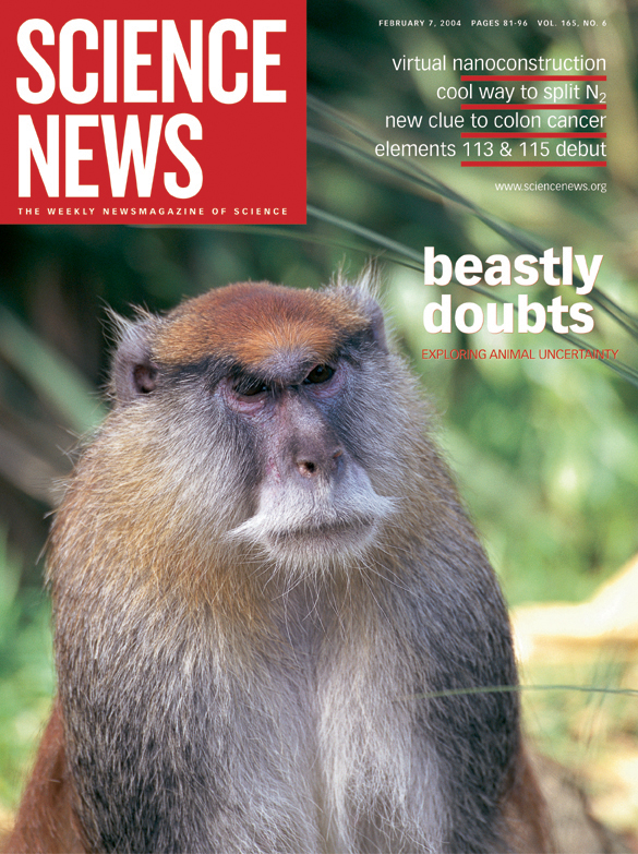 February 7, 2004 | Science News
