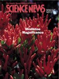 December 23, 2000 | Science News
