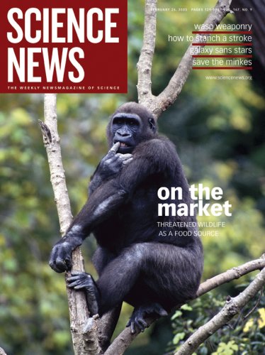 February 26, 2005 | Science News