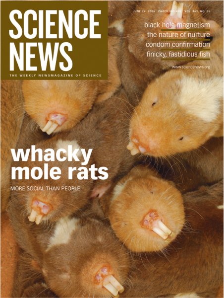 June 24, 2006 | Science News