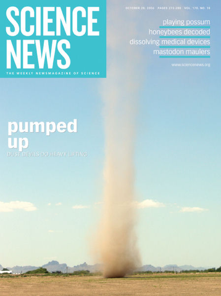 October 28, 2006 | Science News