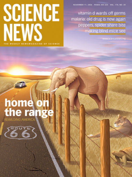 November 11, 2006 | Science News
