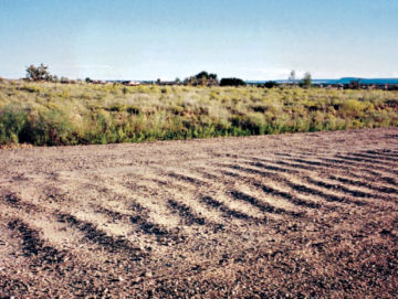 Road Bumps: Why dirt roads develop a washboard surface