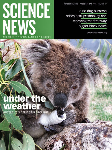 October 27, 2007 | Science News
