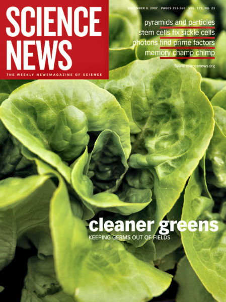 December 8, 2007 | Science News