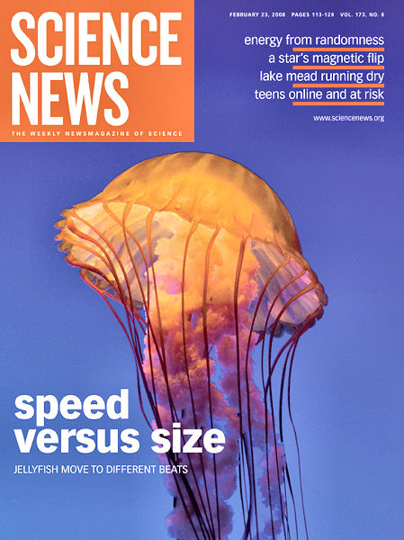 February 23, 2008 | Science News