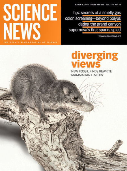 March 8, 2008 | Science News