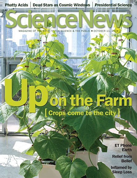 October 11, 2008 | Science News