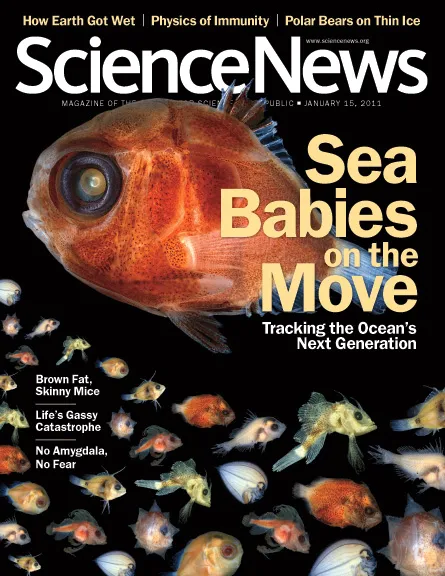 January 15, 2011 | Science News