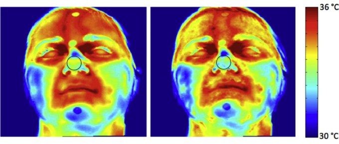 Your fear is written all over your face, in heat | Science News