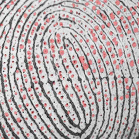 Color-changing polymer maps fingerprints