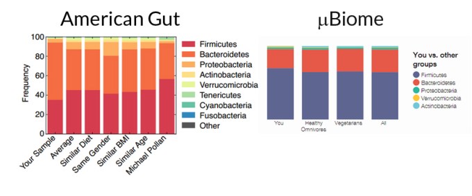 Here’s the poop on getting your gut microbiome analyzed | Science News