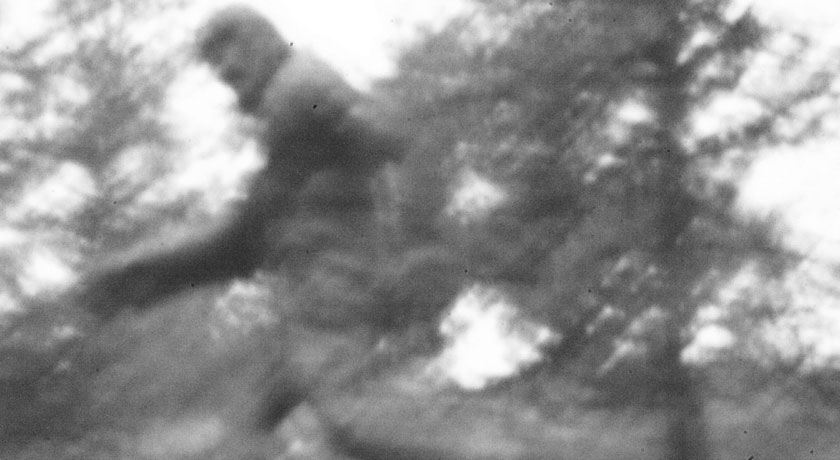 Finally, some solid science on Bigfoot | Science News