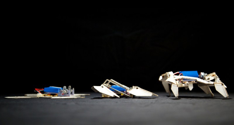 Robots start flat, then pop into shape and crawl