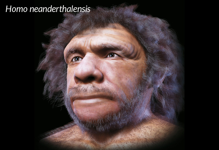The expressive face of human history on display