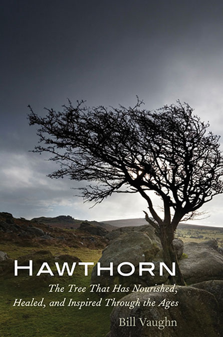 The art and science of the hedgerow