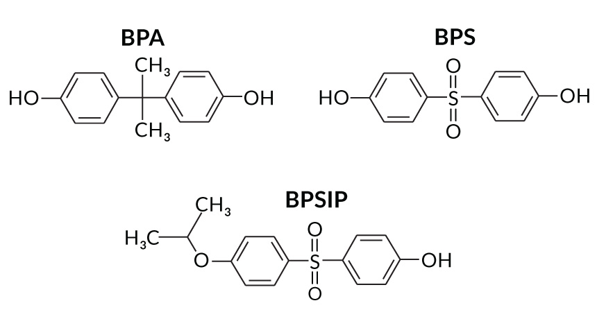 Year in review: BPA alternatives aren't benign