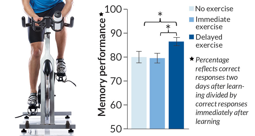 Properly timed exercise aids memory