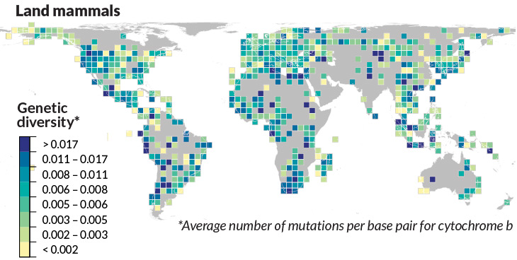Maps show genetic diversity in mammals, amphibians around the world