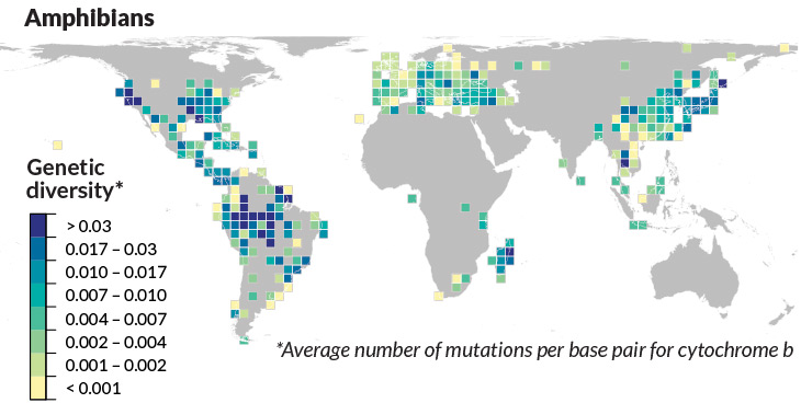 Maps show genetic diversity in mammals, amphibians around the world
