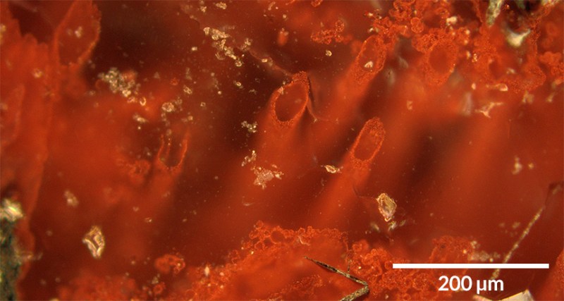 Oldest microfossils suggest life thrived on Earth about 4 billion years ago