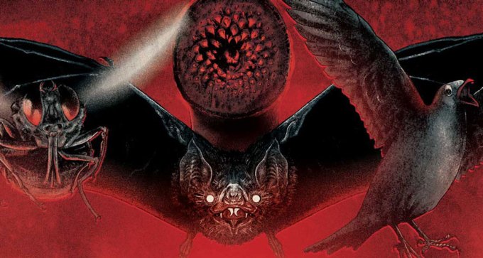 Real vampires have evolved unusual ways to survive on blood | Science News