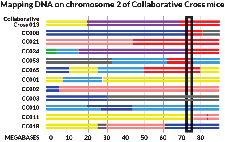 Hybrids reveal the barriers to successful mating between species