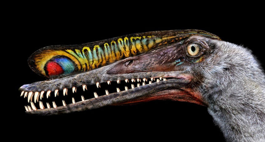 Jackpot of fossilized pterosaur eggs unearthed in China