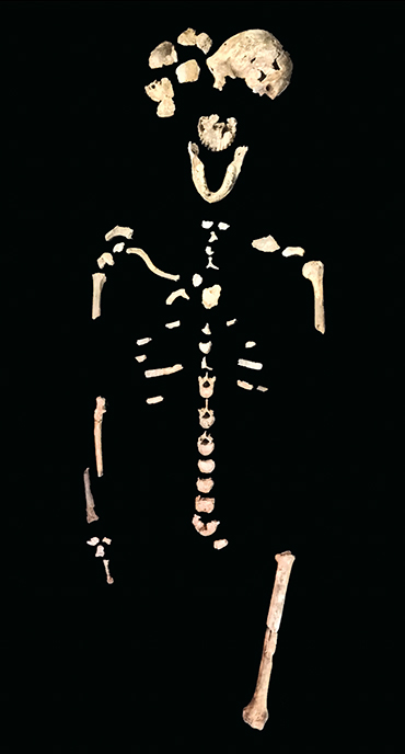 The story of humans’ origins got a revision in 2017