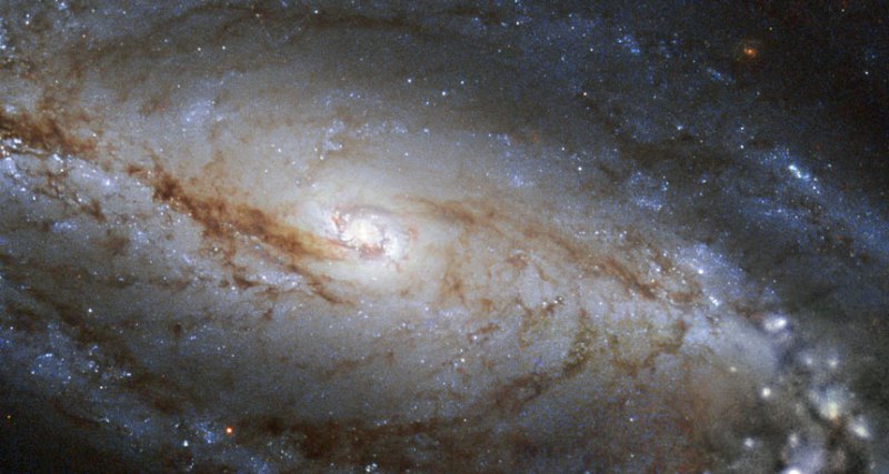An amateur astronomer caught a supernova explosion on camera