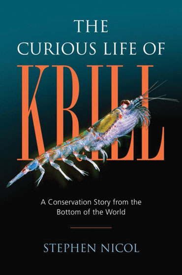 ‘The Curious Life of Krill’ is an ode to an underappreciated crustacean