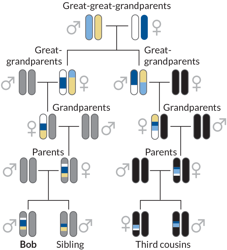 DNA testing can bring families together, but gives mixed answers on ...