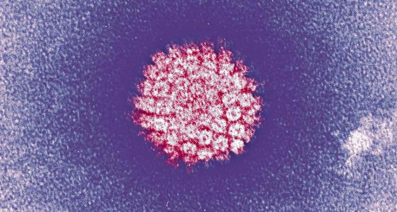 Evidence grows that an HPV screen beats a Pap test at preventing cancer