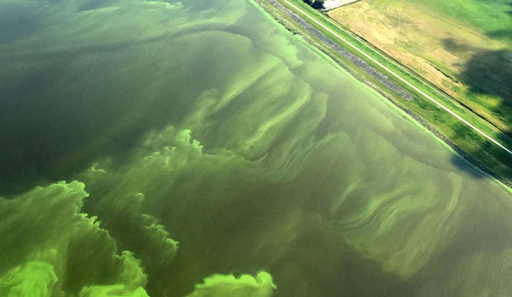 A freshwater, saltwater tug-of-war is eating away at the Everglades