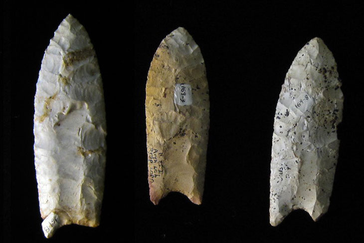 Ancient Clovis people may have taken tool cues from earlier Americans