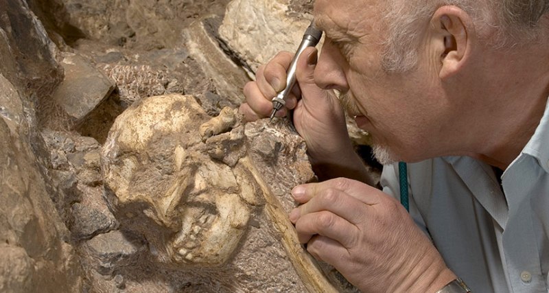 New Little Foot claims stoke debate over the hominid’s identity ...